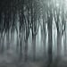300 Fog Overlays,halloween Fog Overlays,mist Overlays,landscape ...