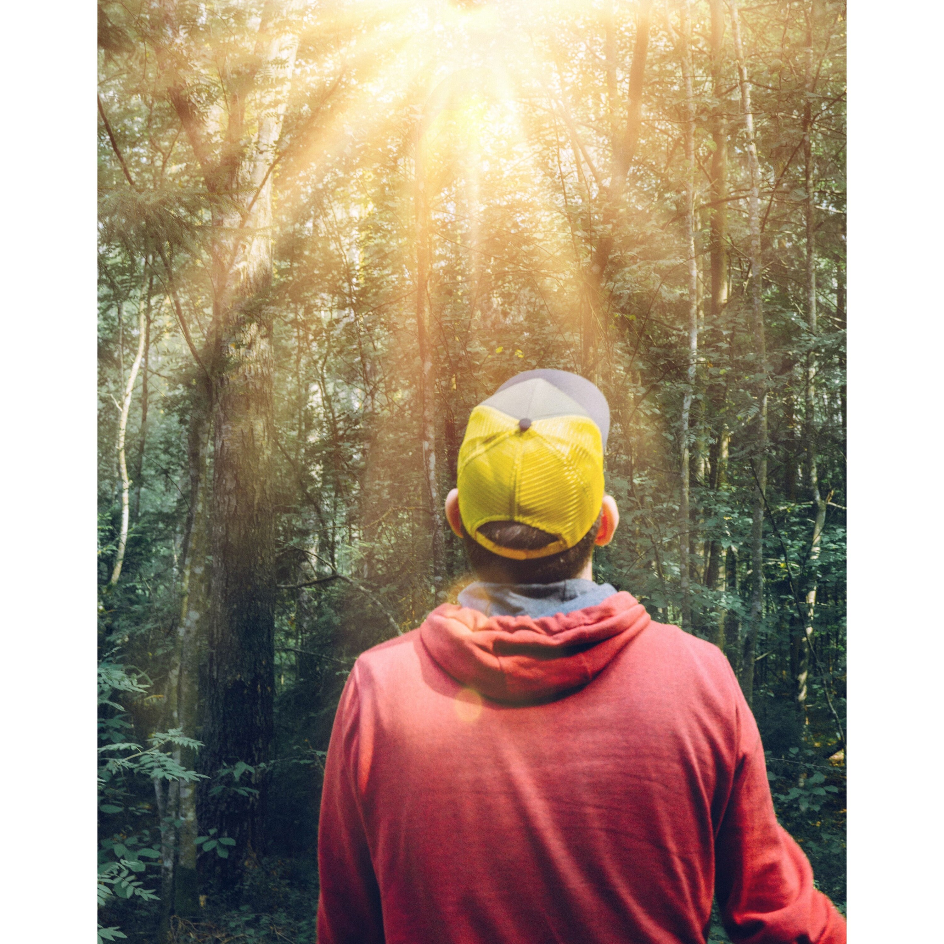 Realistic Sunlight Overlays 140 Photoshop Sun Overlayssun - Etsy UK