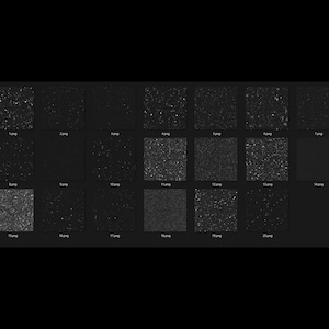 Realistic Snow Overlay Png,lightroom Snow Overlays, Falling Snow ...