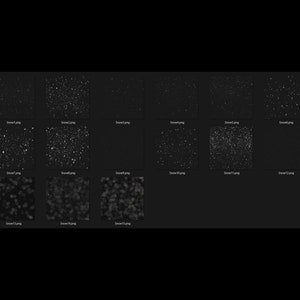 Realistic Snow Overlay Png,lightroom Snow Overlays, Falling Snow ...