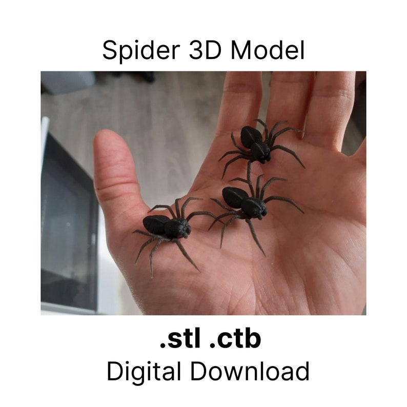 Spider 3D, Spider 3D Digital Printing, Movie Characters, Comic,black ...