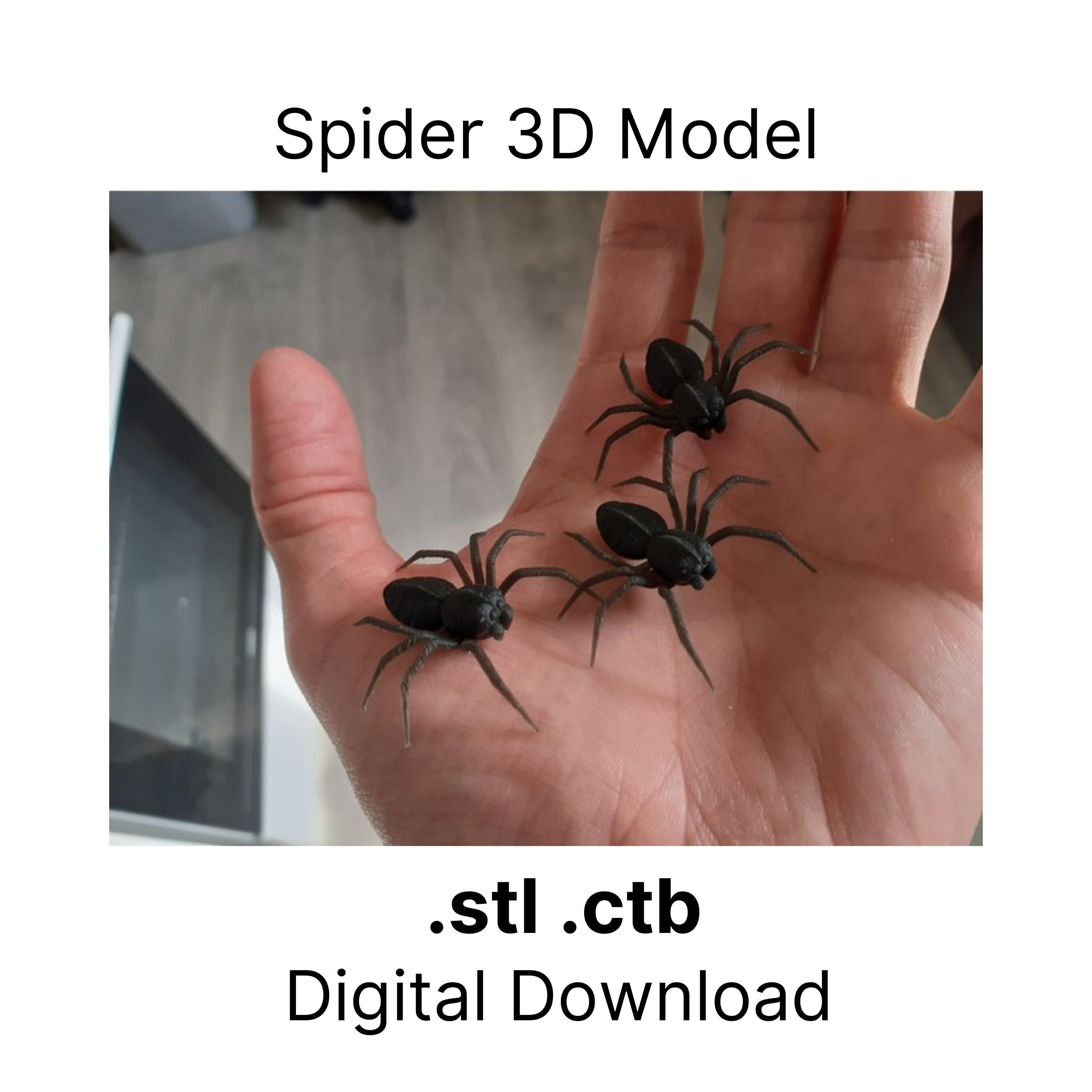 Spider 3D, Spider 3D Digital Printing, Movie Characters, Comic,black ...