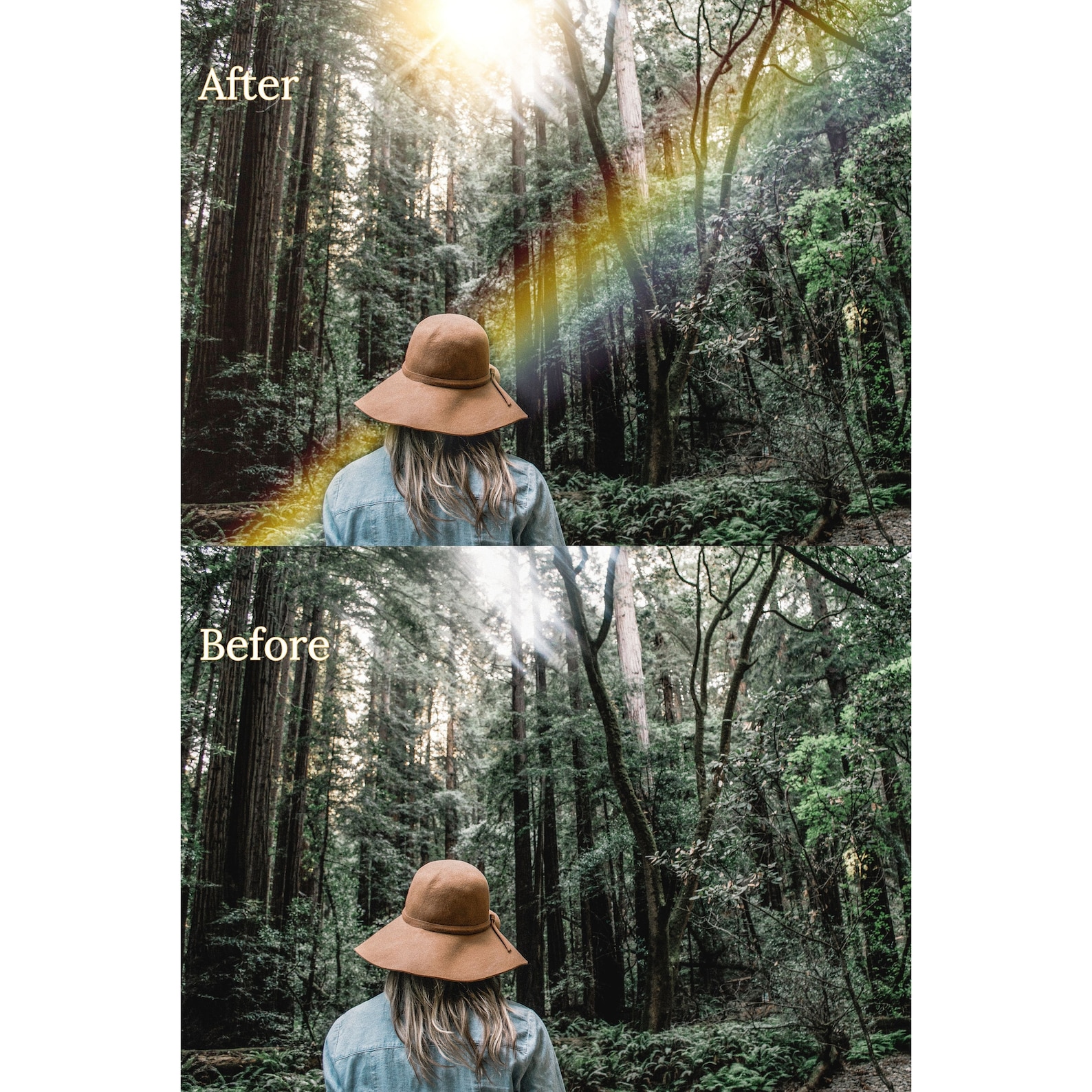 Realistic Sunlight Overlays, 140 Photoshop Sun Overlays,sun Flare ...