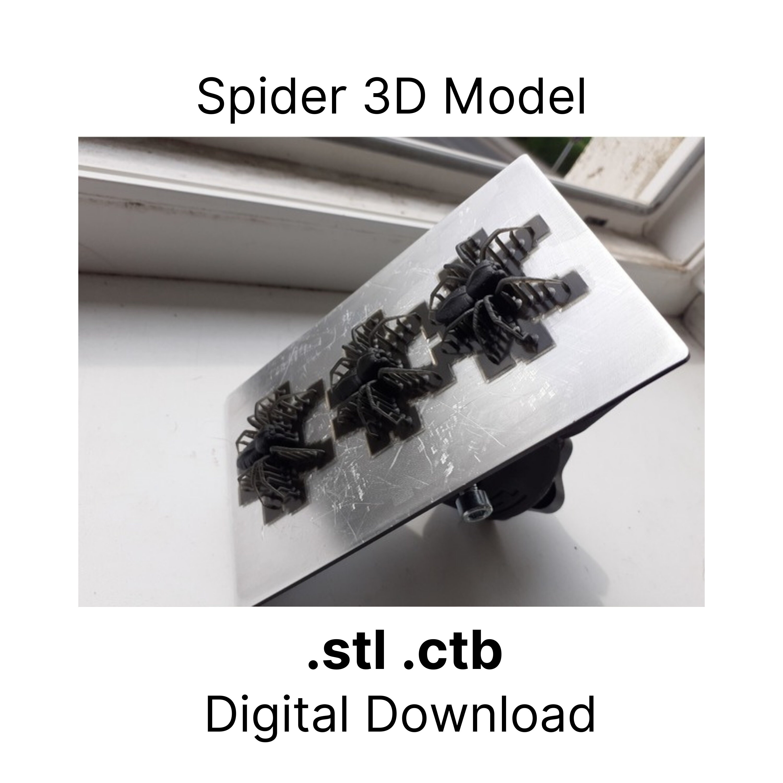 Spider 3D, Spider 3D Digital Printing, Movie Characters, Comic,black ...