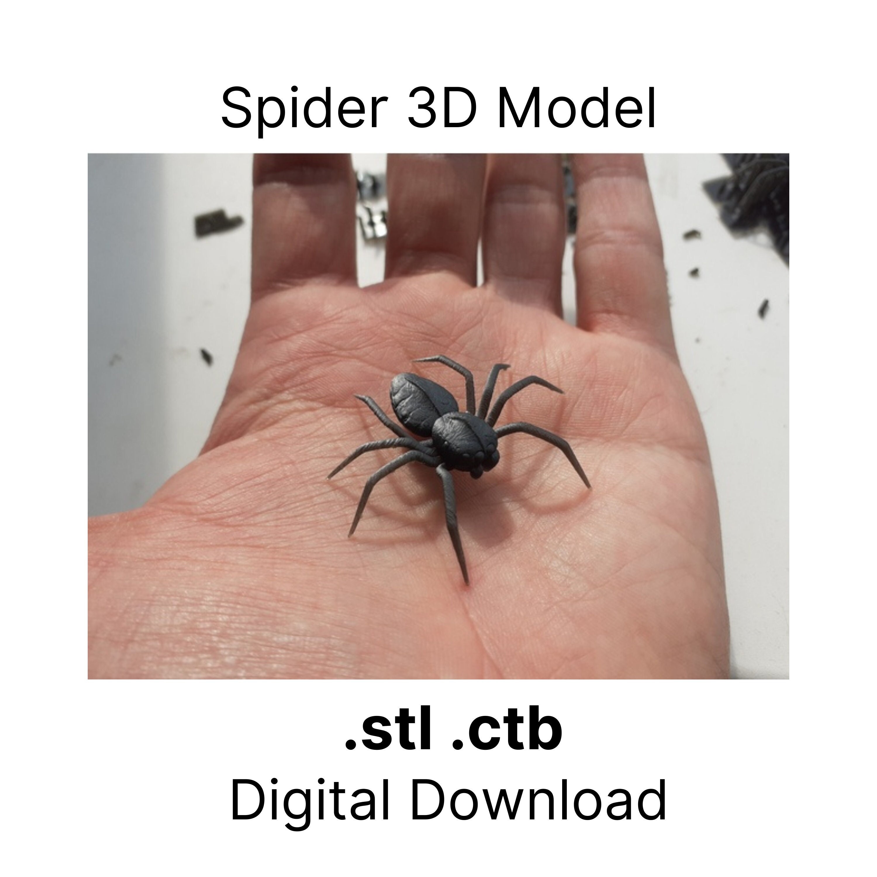 Spider 3D, Spider 3D Digital Printing, Movie Characters, Comic,black ...