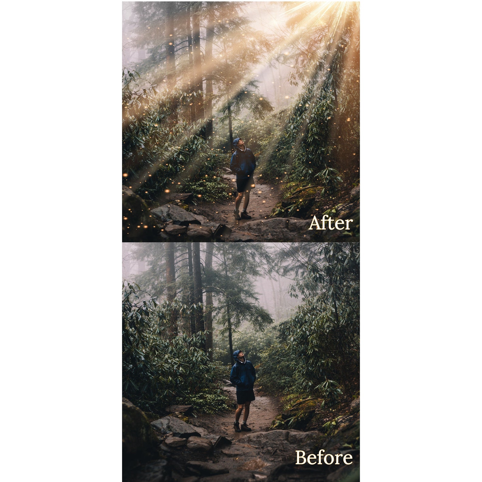 Realistic Sunlight Overlays, 140 Photoshop Sun Overlays,sun Flare ...
