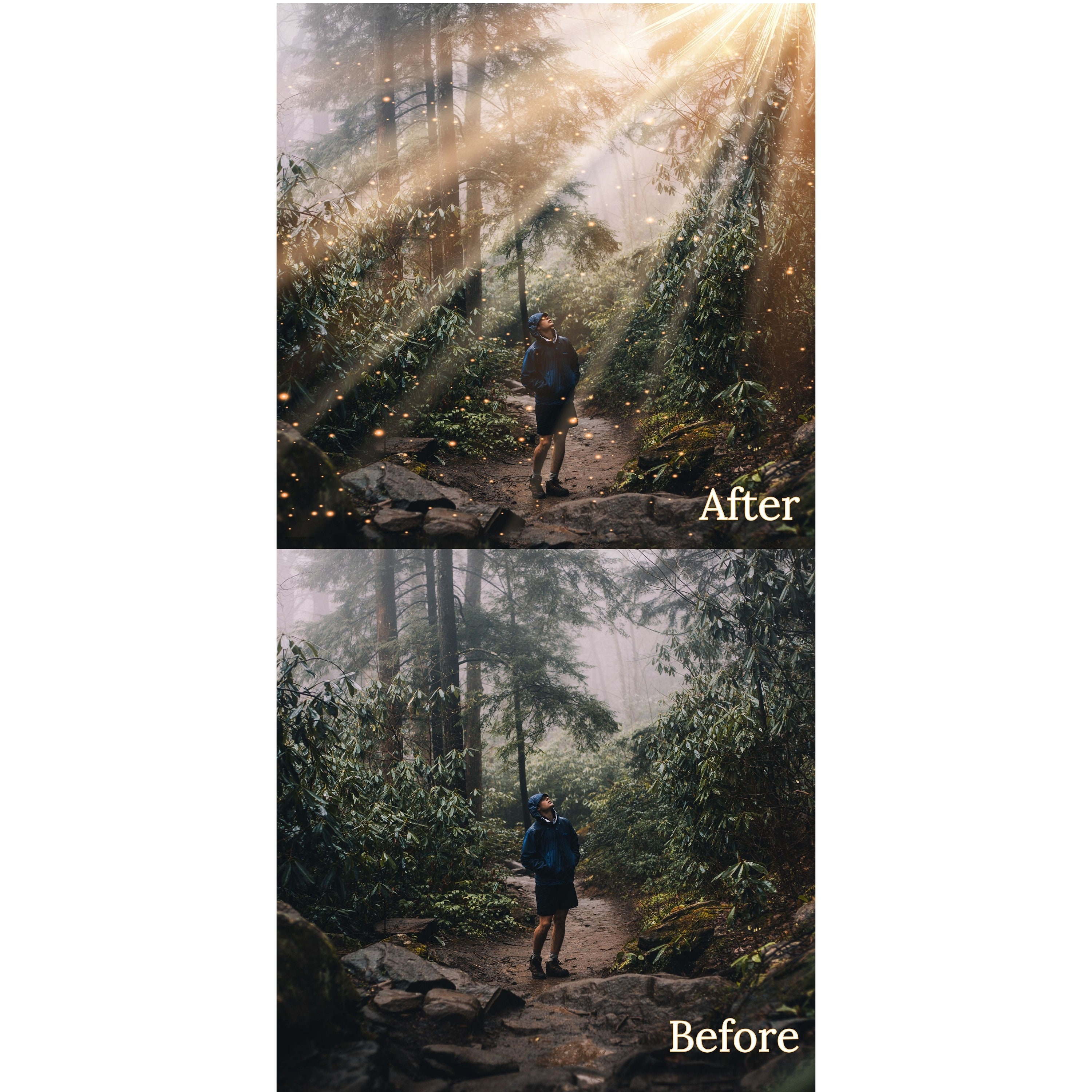 Realistic Sunlight Overlays, 140 Photoshop Sun Overlays,sun Flare ...