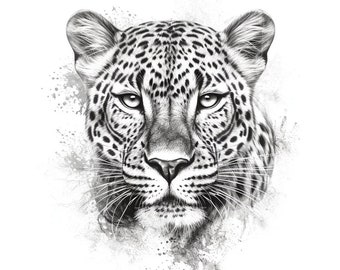 African Lion - Line Drawing Digital Download 24x24 Inches 300dpi - Etsy