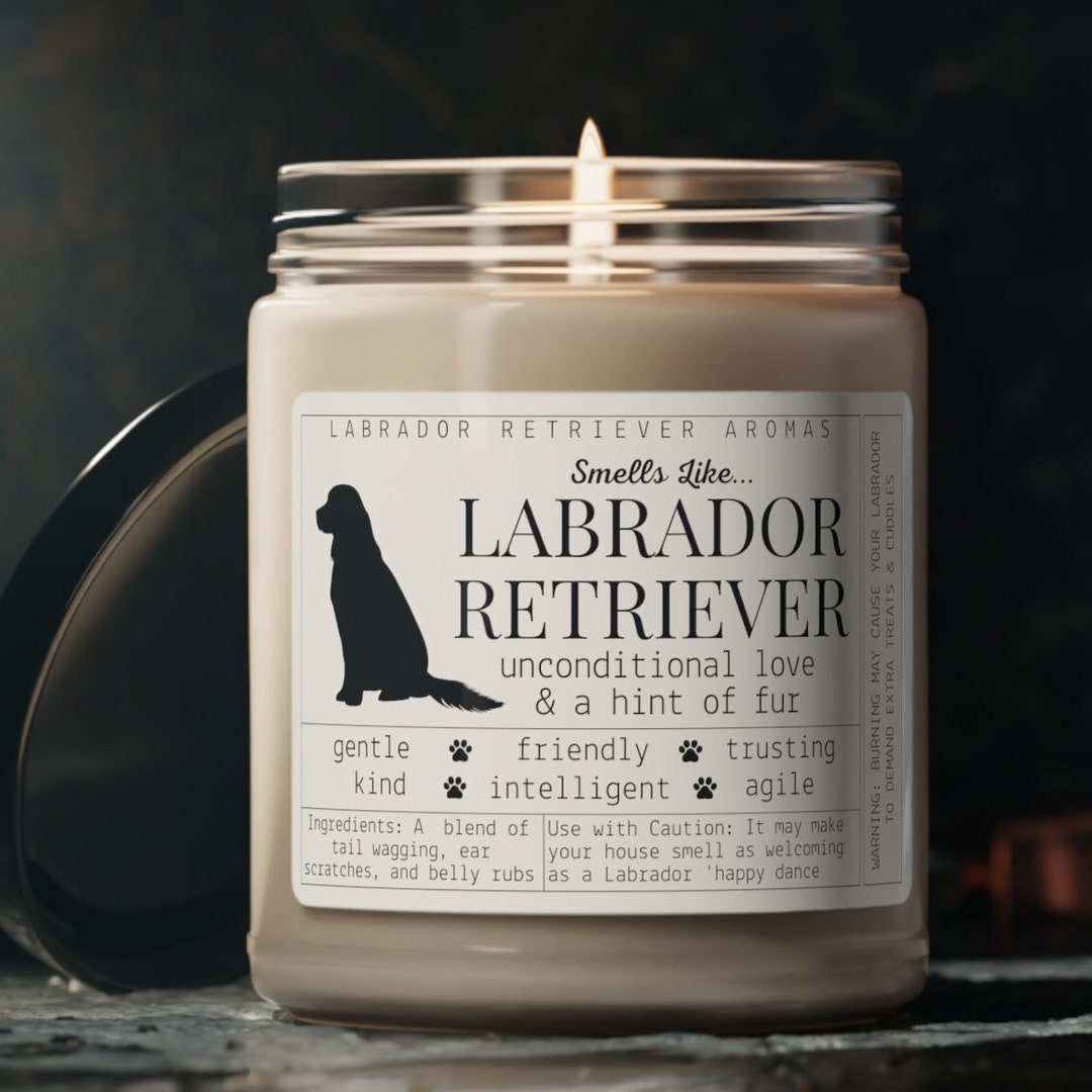Labrador Retriever Candle: Funny Dog Lover Gift Ideas - Etsy