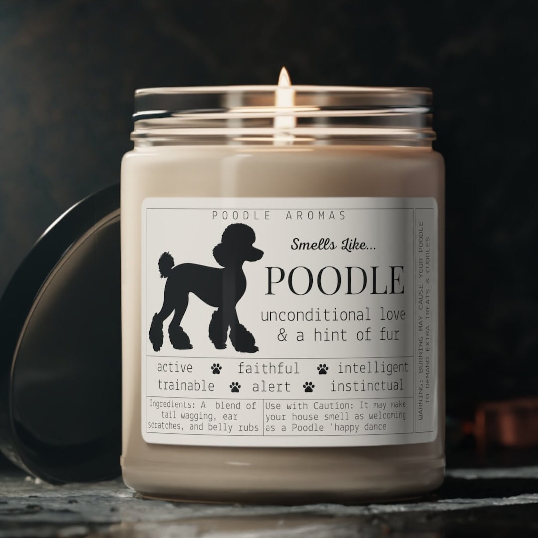 Poodle Candle: Funny Dog Lover Gift - Natural Soy Wax - Etsy