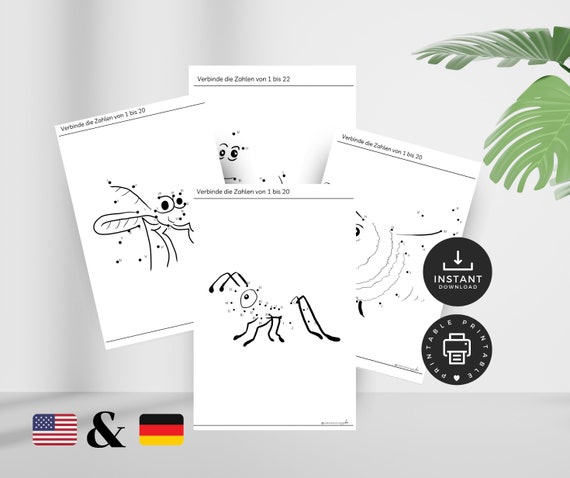 Hoja De Trabajo Superior Insectos Y CLASIFICACIÓN De Los INSECTOS