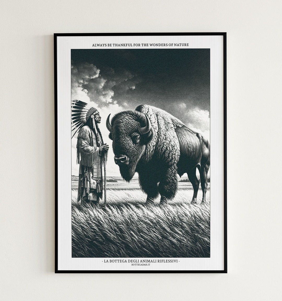 Bison Lesson, Native Americans, Vintage Poster, American Bison - Etsy