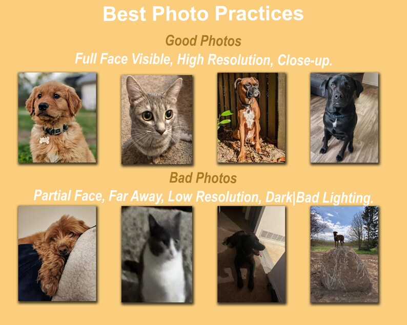 Custom Pet Portraits Using Pet Photo, Personalized Dog and Cat Art, Pet ...