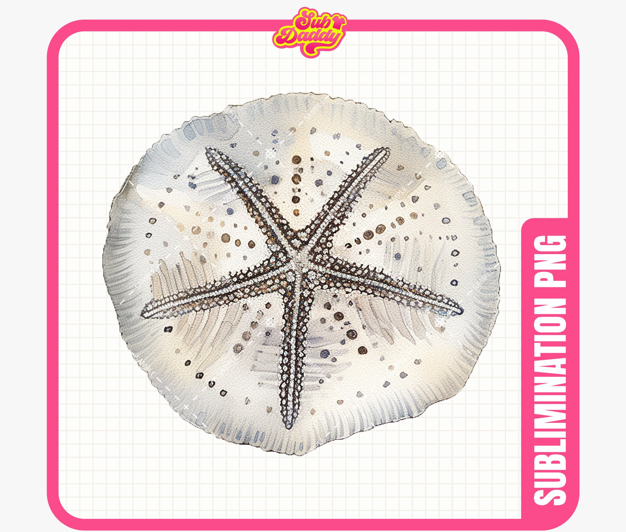 Sand Dollar Watercolor Clipart, Digital Scrapbook, Wall Art, Crab Png ...