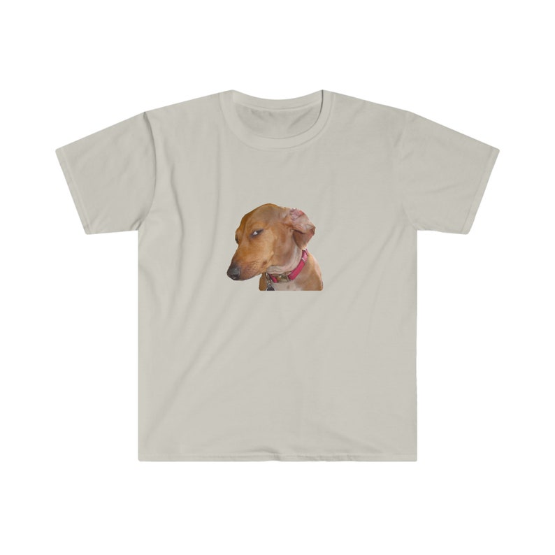 Get Your Side Eye on With Our Dachshund Tee! - Side Eye Dog Meme ...