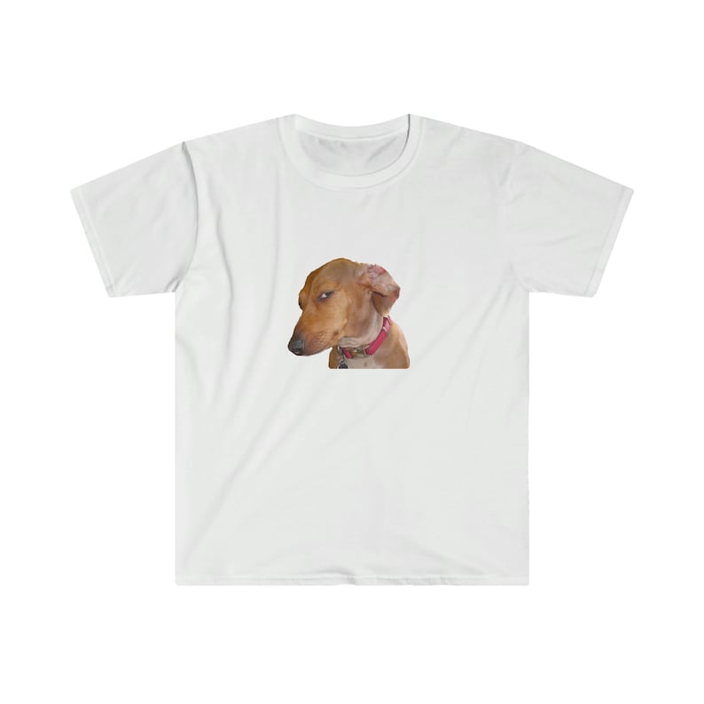 Get Your Side Eye on With Our Dachshund Tee! - Side Eye Dog Meme ...
