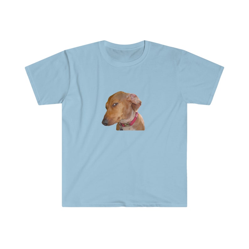 Get Your Side Eye on With Our Dachshund Tee! - Side Eye Dog Meme ...