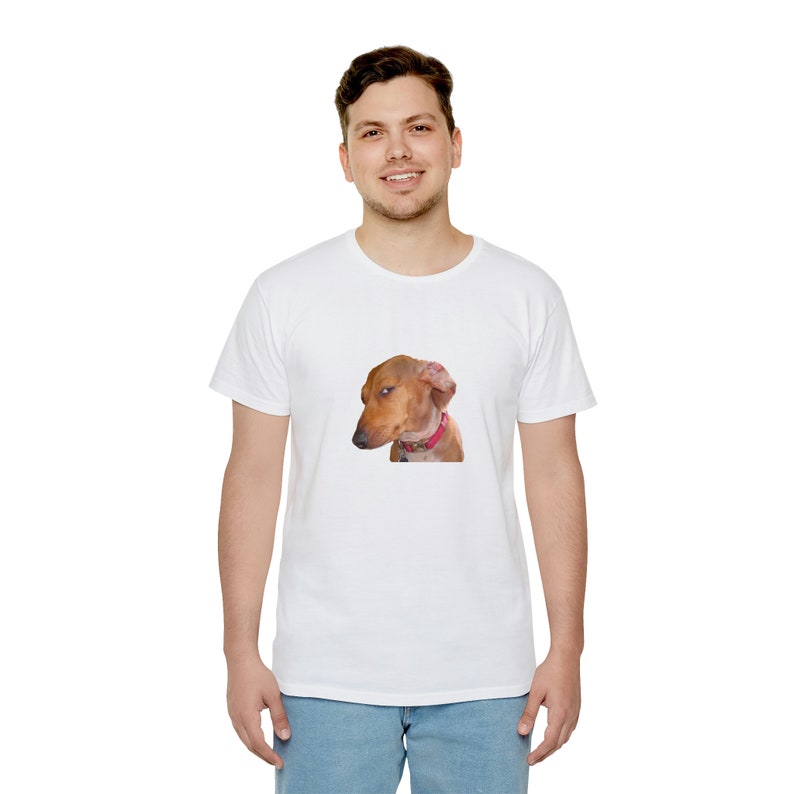 Get Your Side Eye on With Our Dachshund Tee! - Side Eye Dog Meme ...