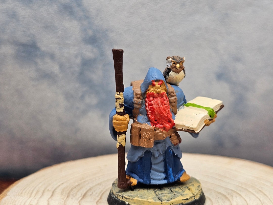 Dramnir Dwarven Wizard With Spell Book and Owl Familiar Finished Hand ...