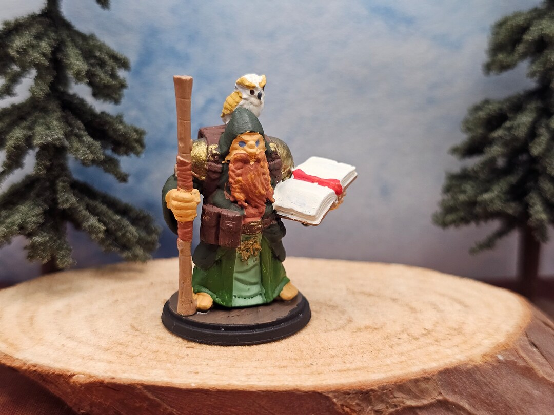 Dwarven Wizard With Owl Familiar Finished Hand Painted DND Figure ...