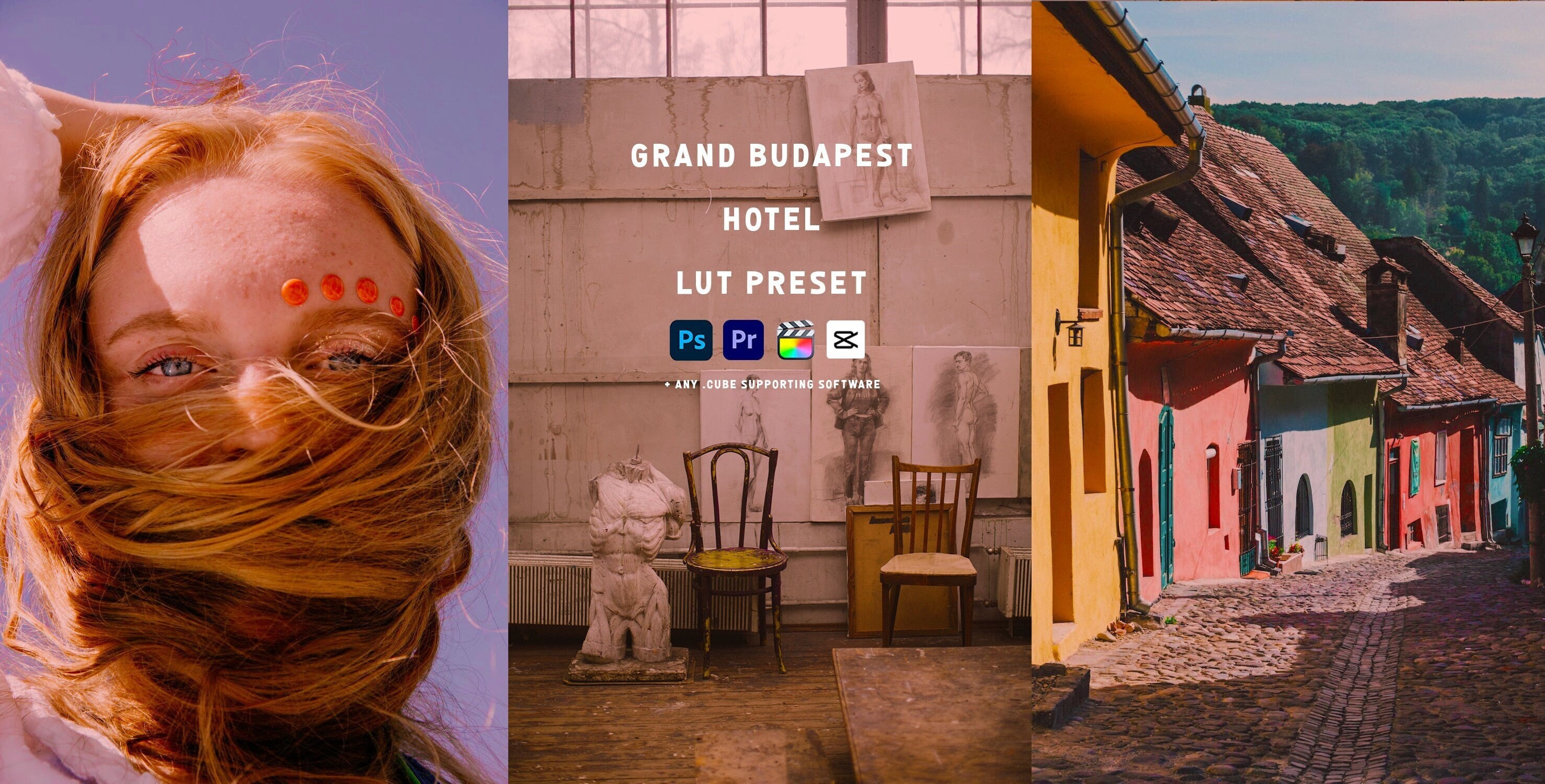 Wes Anderson "grand Budapest Hotel" Inspired LUT Preset | Color Grading ...