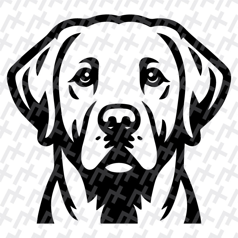 Labrador Retriever SVG Cut File - Friendly Dog Vector Graphic - Perfect ...