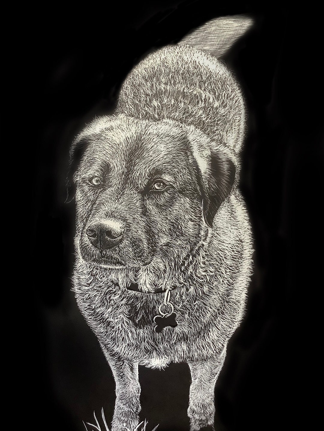 Custom Scratchboard Pet Portrait - Etsy