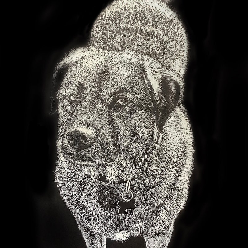 Scratchboard Art - Etsy