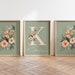Sage Blush Nursery Wall Art for Baby Girl Bedroom Custom Girl Name With ...
