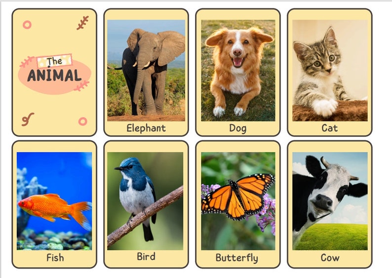 Forest Animals real Pictures Flash Cards Nomenclature Flashcards ...