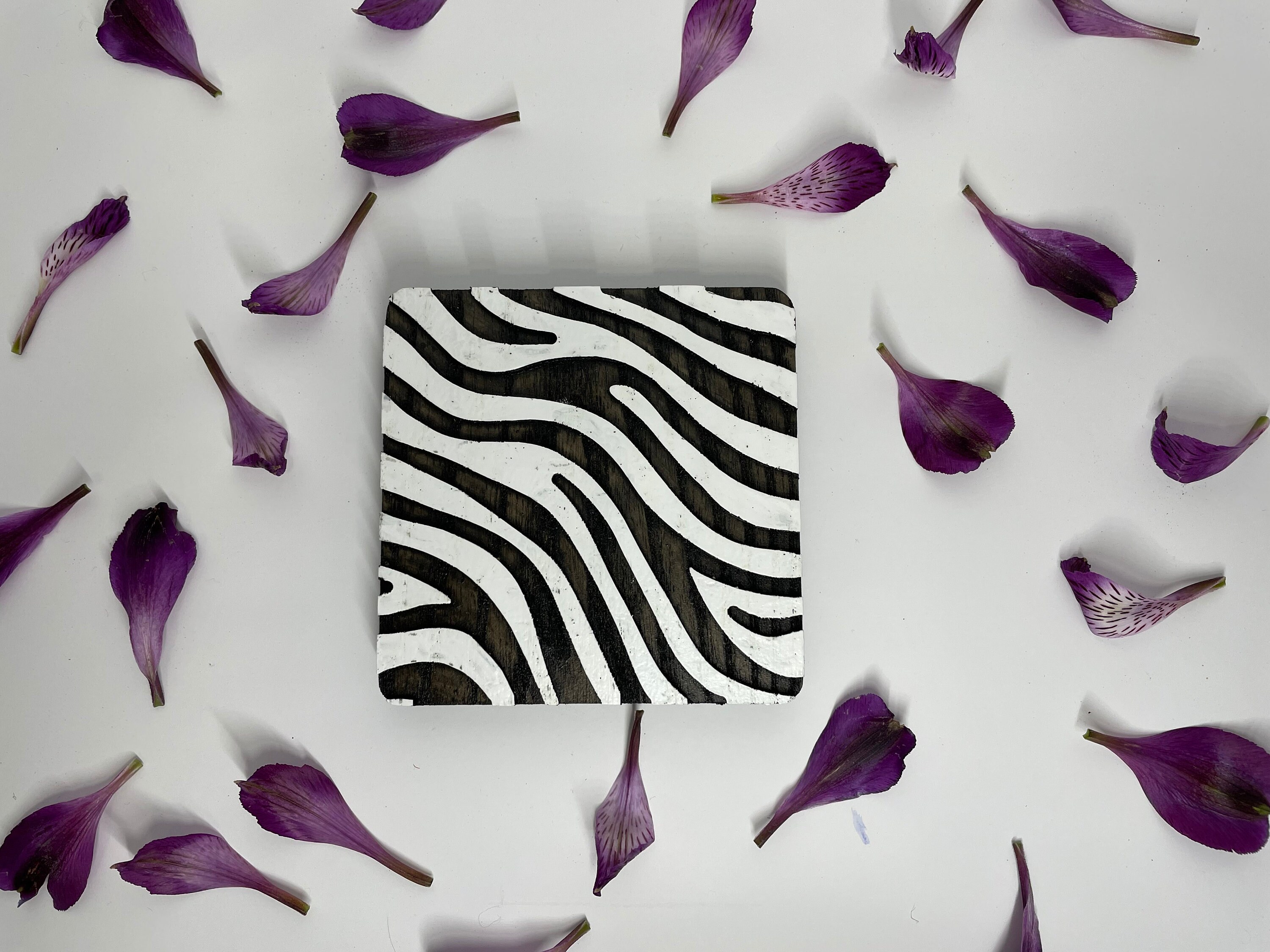 Safari Coasters set of 4 / Jungle Themed Drink Coasters / Tiger Zebra ...