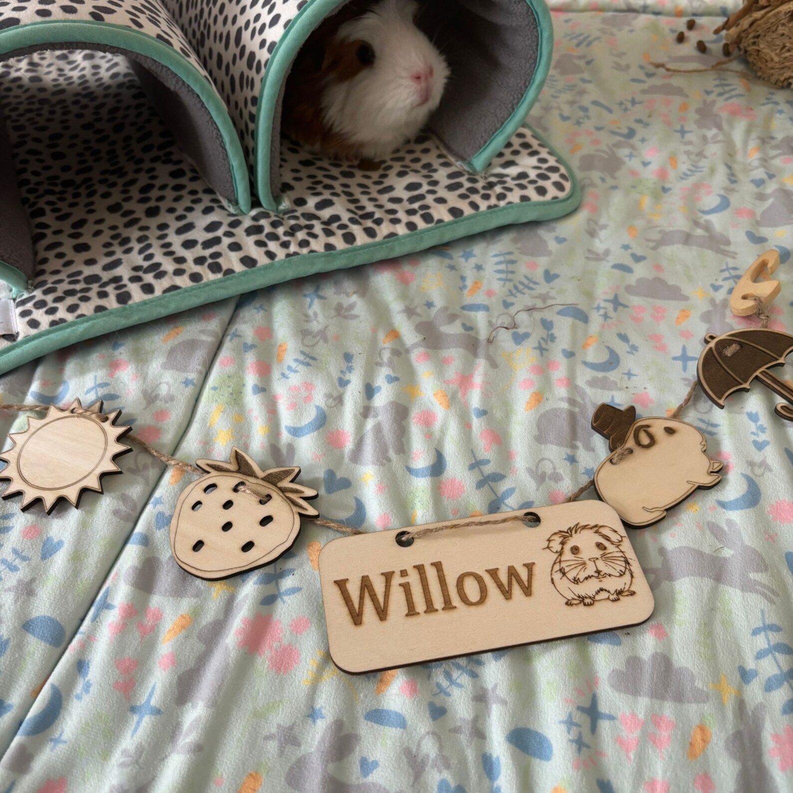 Personalized Guinea Pig Name Sign & Chew Toy - Formaldehyde Free ...