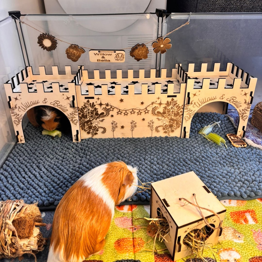 Guinea Pig Low Castle Kit - Formaldehyde Free, Non Toxic, This Castle ...
