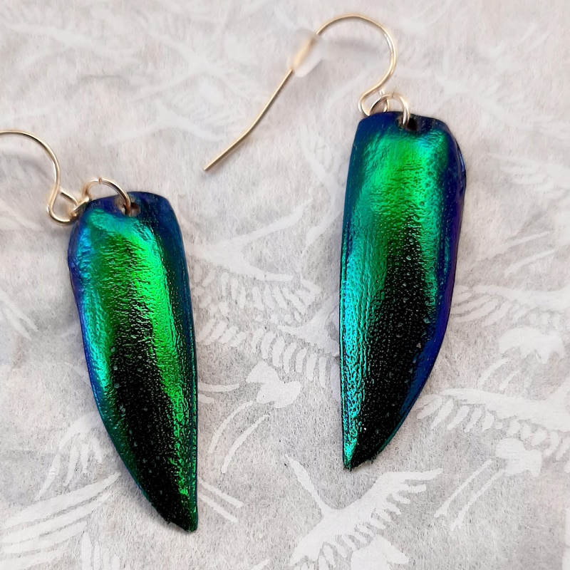 Beetle Wing Cover - Etsy
