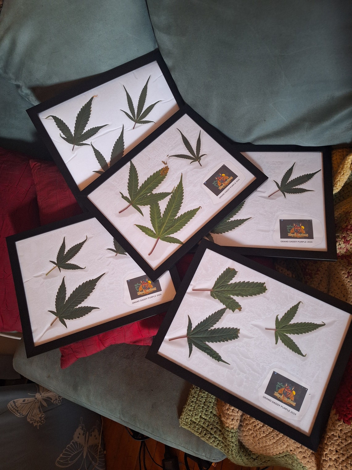 Marijuana Fan Leaf Art . - Etsy