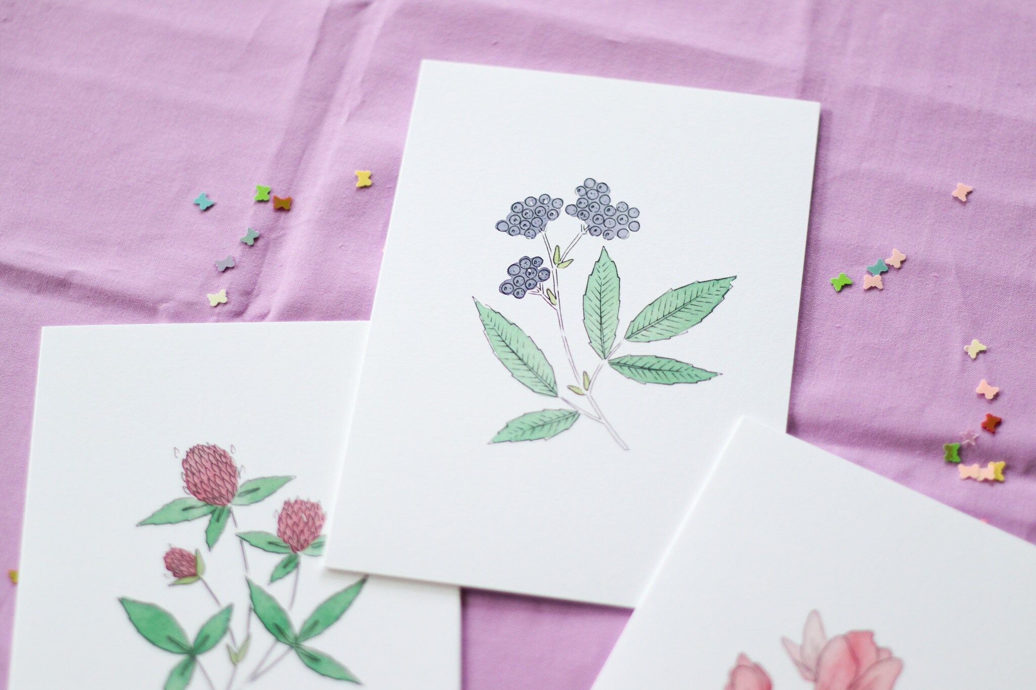 Set of 3 Greeting Cards With Summer Foraging Designs, Handmade ...