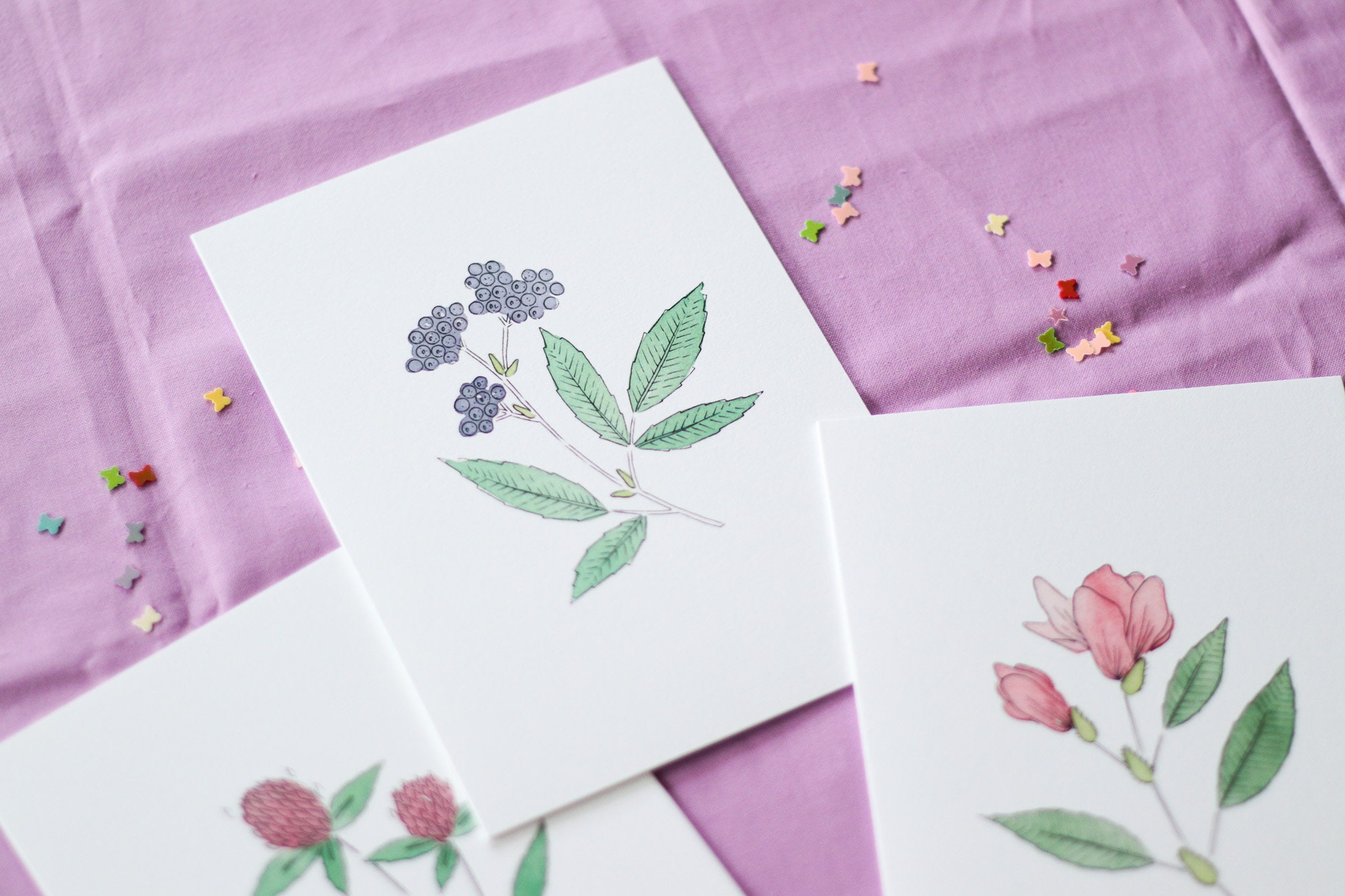 Set of 3 Greeting Cards With Summer Foraging Designs, Handmade ...