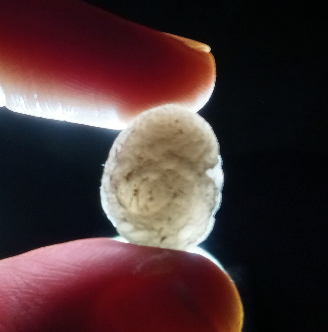 Cintamani Stone [saffordite] (2-3 Grams) Gem Grade (translucent) - Etsy