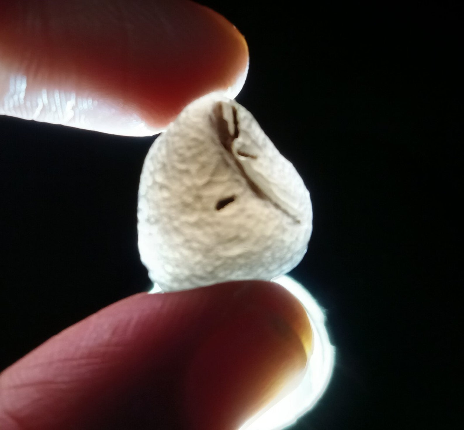 Cintamani Stone [saffordite] (3-4 Grams) Gem Grade (translucent) - Etsy