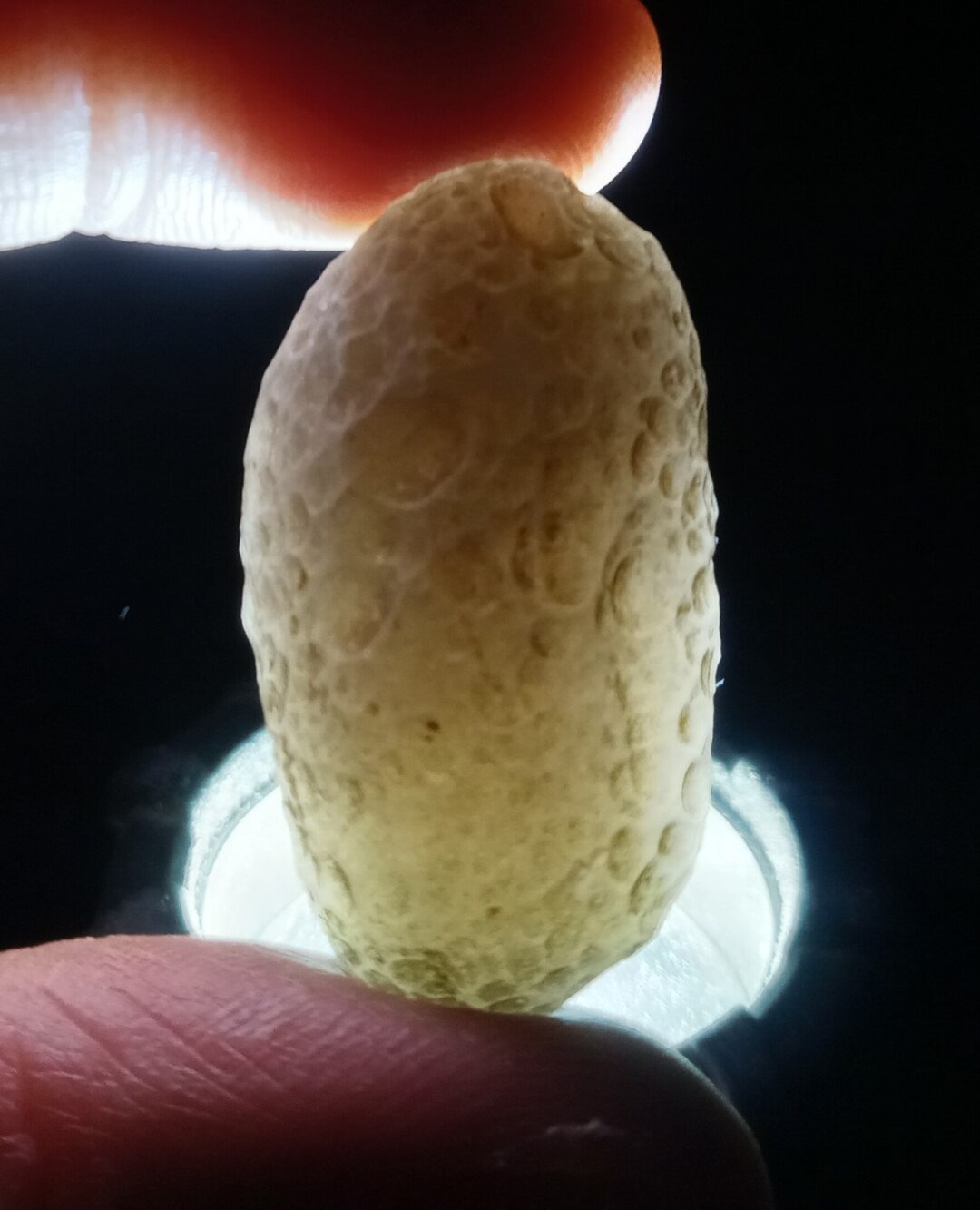 Cintamani Stone [saffordite] (12-15 Grams) Gem Grade (translucent) - Etsy
