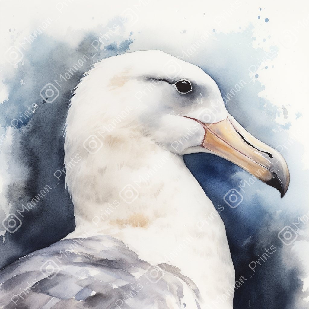 Watercolour Albatross Wall Art || Digital Print, Painting, Wildlife ...
