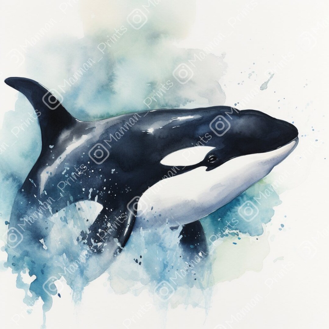 Watercolour Orca Wall Art || Digital Print, Painting, Wildlife, Nature ...