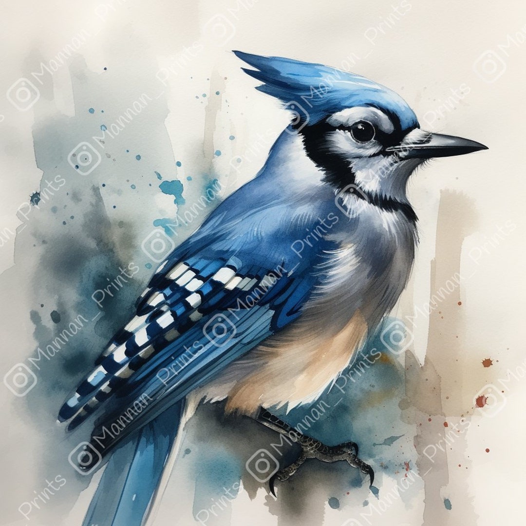 Watercolour Blue Jay Wall Art || Digital Print, Painting, Wildlife ...