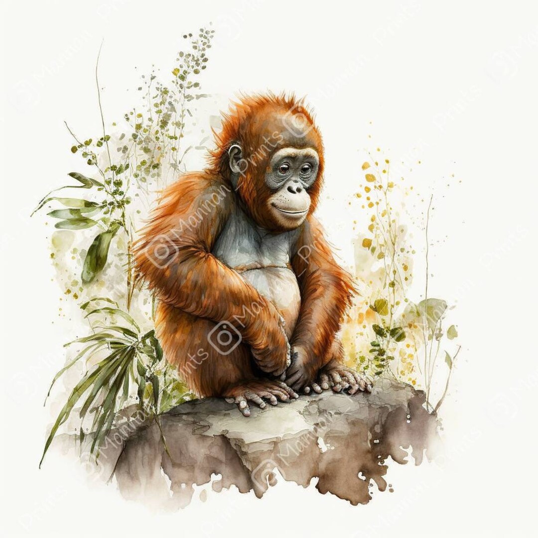 Watercolour Baby Orangutan Wall Art || Digital Print, Painting ...