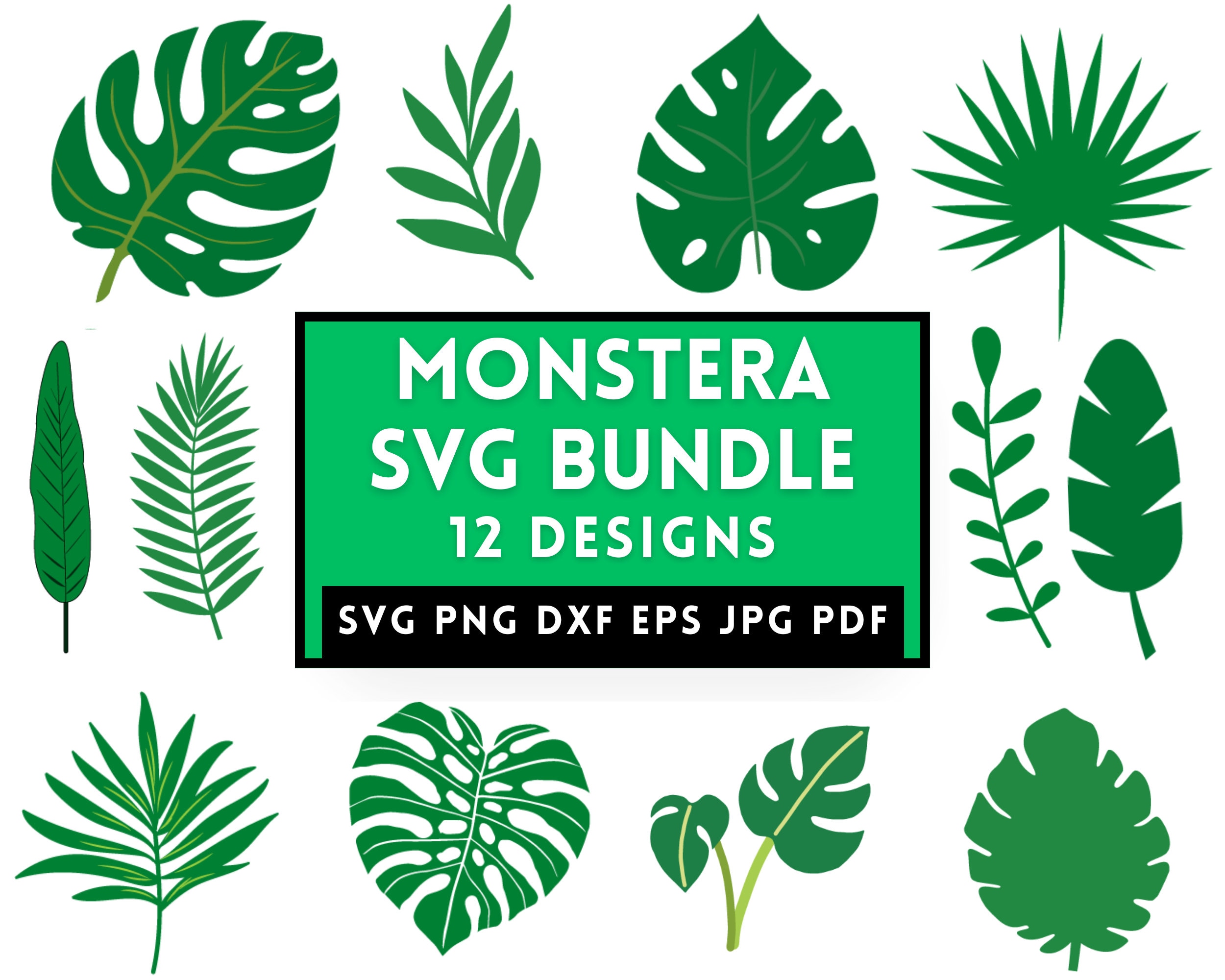 Monstera Svg Monstera Leaf Svg Tropical Leaves Svg Palm - Etsy UK