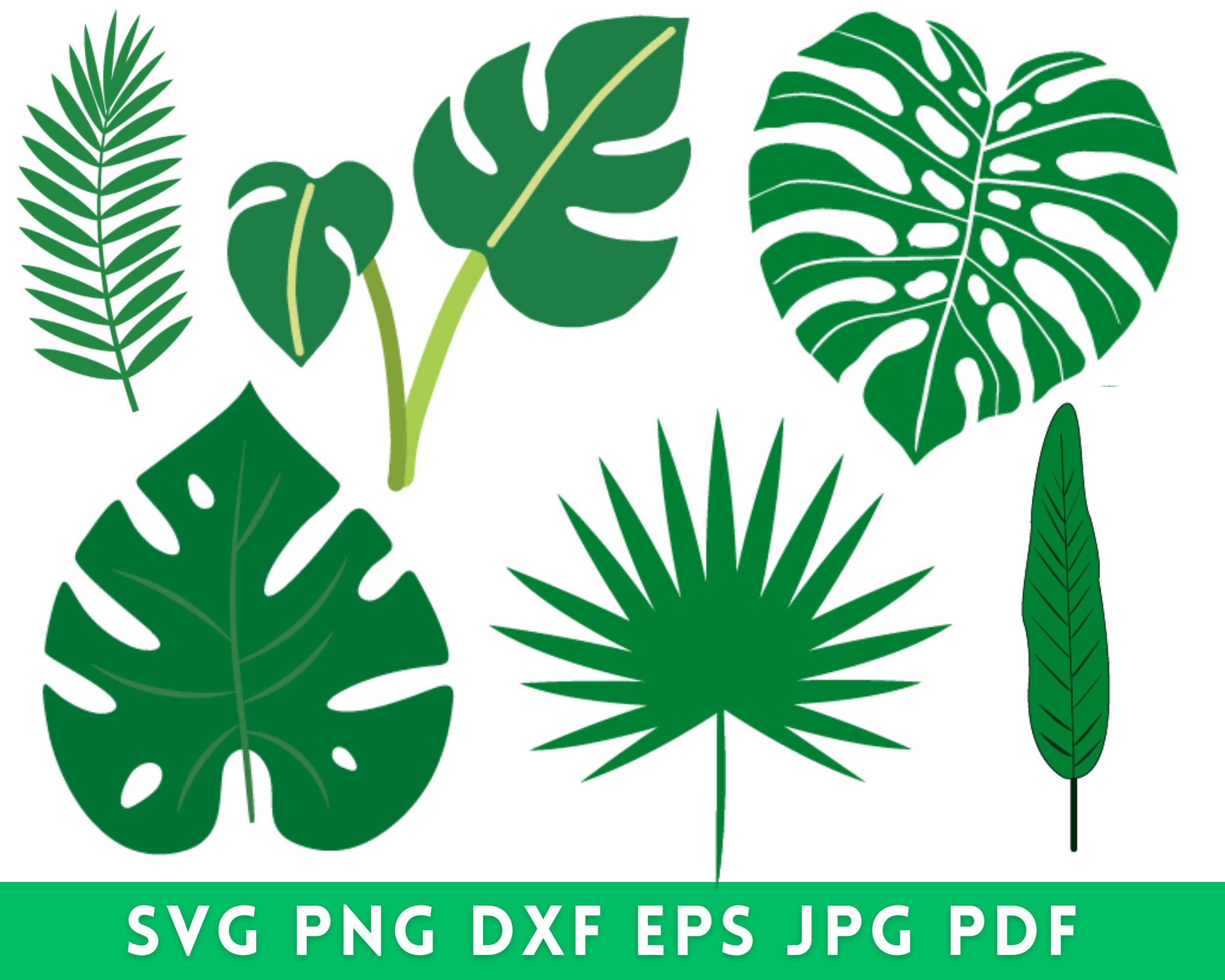 Monstera Svg Monstera Leaf Svg Tropical Leaves Svg Palm - Etsy UK