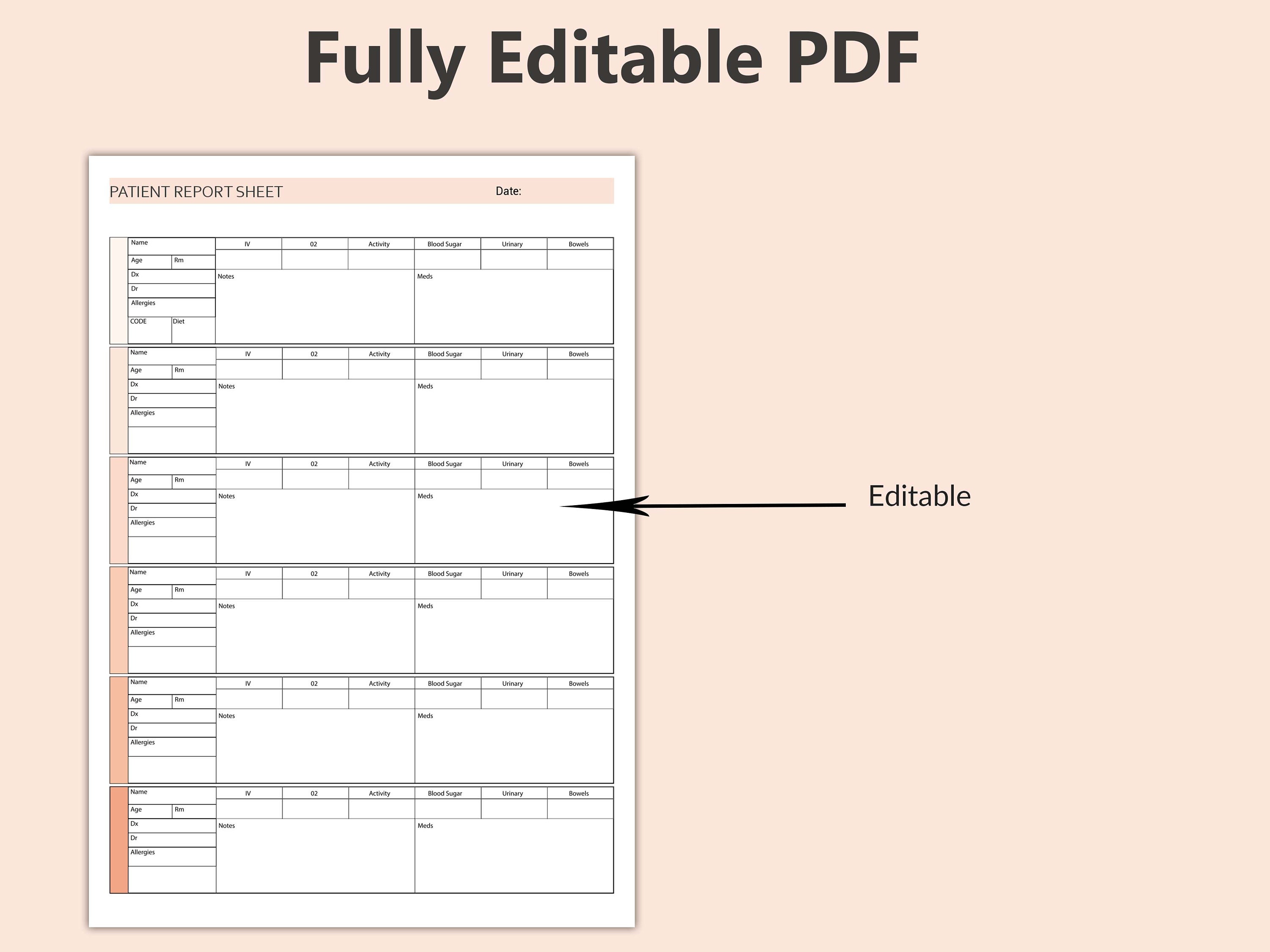 Editable and Printable Patient Report Sheet, Patient Record - Etsy