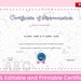 Editable Certificate of Completion Template, Certificate of Achievement ...