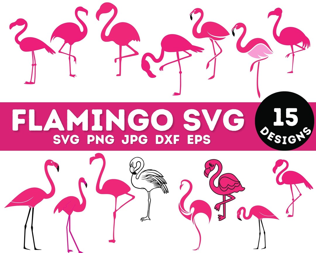 Flamingo Svg Bundle, Flamingo Png Bundle, Flamingo Cricut, Svg Files ...