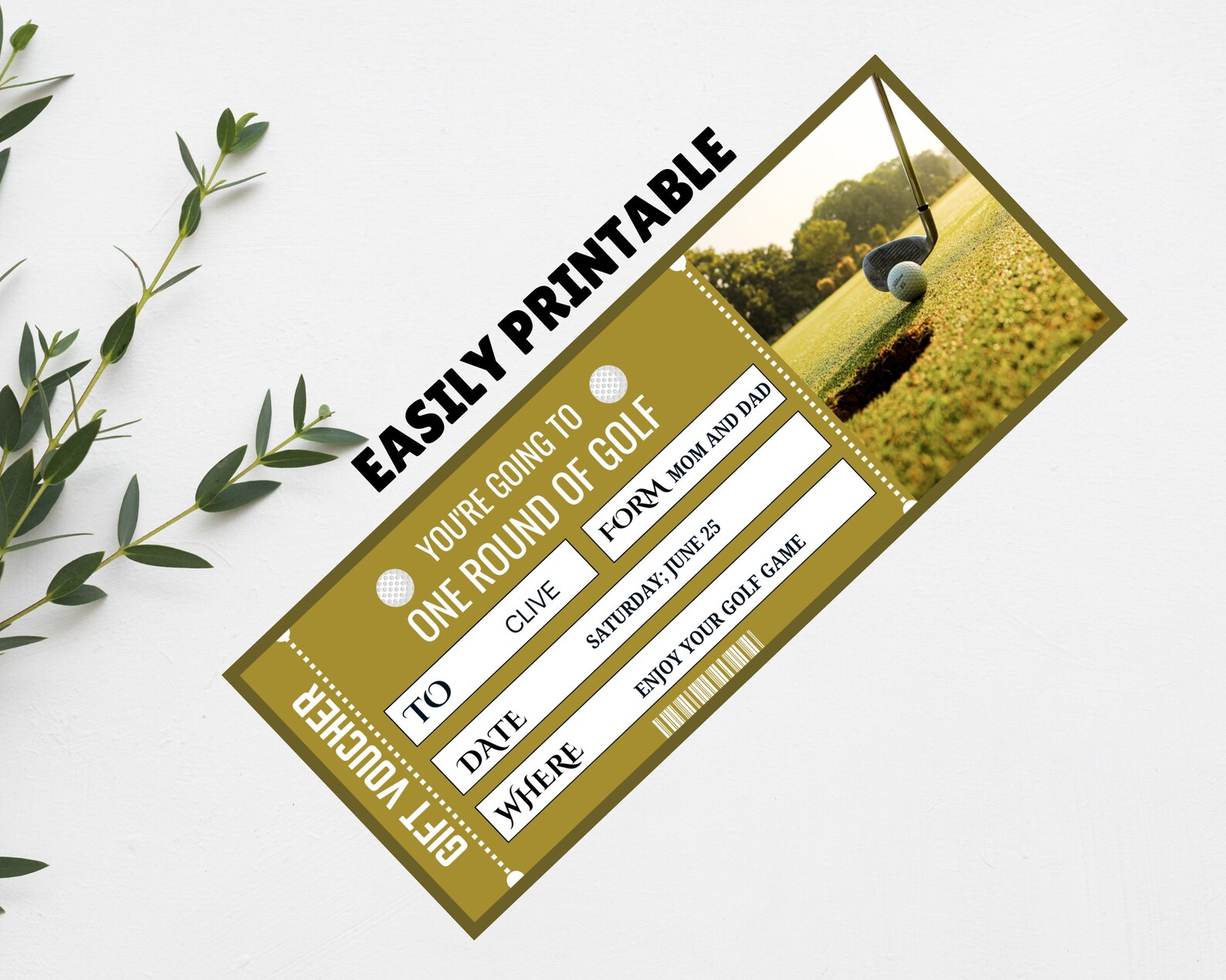 Surprise Golf Ticket, Surprise Trip, Gift Voucher, Ticket Template for ...